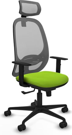 Piqueras y Crespo Schreibtisch f&uuml;r Telearbeit von Cilanco mit 1D-Armen, h&ouml;henverstellbare Lendenwirbelst&uuml;tze und h&ouml;henverstellbares Kopfteil und Neigung, Grau/Pistazie