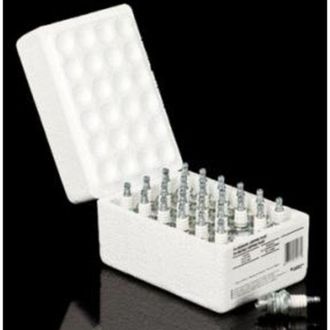 Champion 24er-Pack CHAMPION CJ8-Nickel-Z&uuml;ndkerzen