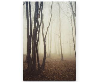 Paul Sinus Art Leinwandbilder | Bilder Leinwand 90x60cm Wald im Nebel