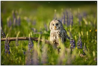 Wallario Outdoor-Poster f&uuml;r Garten oder Balkon Kauz im Bl&uuml;tenmeer, Motivbanner Gr&ouml;&szlig;e: ca. 60 x 90 cm, Outdoor-Bild