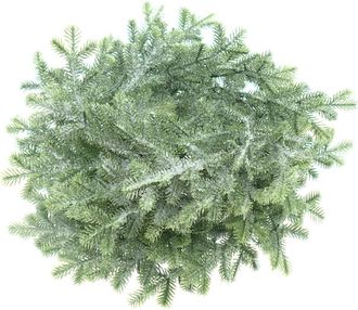 Gasper Weihnachtsdeko Taxuskranz Grün geeist Ø 28 cm - Kunstpflanzen