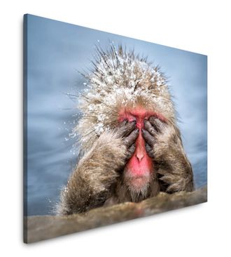 Paul Sinus Art Affe versteckt sich 120x 80cm Inspirierende Fotokunst in Museums-Qualit&auml;t f&uuml;r Ihr Zuhause als Wandbild auf Leinwand in