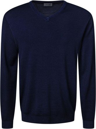 Pierre Cardin V-Ausschnitt-Pullover aus 100% Wolle