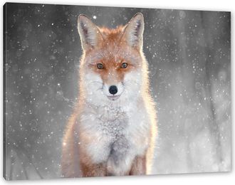 Pixxprint Roter Fuchs im Winter B&W Detail, Gr&ouml;&szlig;e: 80x60cm, Leinwandbild, fertig gespannt, Wandbild, Dekoration, Kunstdruck, kein Poster