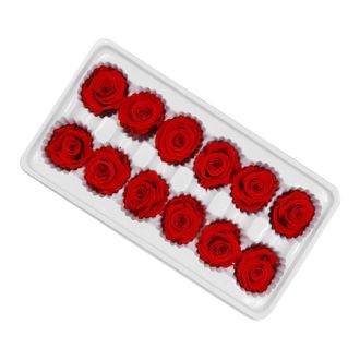 NUOBESTY Unsterbliche Rose 12 St&uuml;ck Rosenkopf 3 4cm Konservierte Frische Blumen Rote Ewige Blume f&uuml;r Valentinstag Hochzeit und Selbstgemacht Dekoration