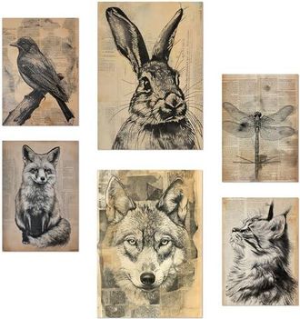 Nacnic Lot de 6 Animaux vintage. Oiseau, lapin, libellule, renard, loup, chat Affiches avec illustration design pour d&eacute;corer les murs de la maison. Chambres,