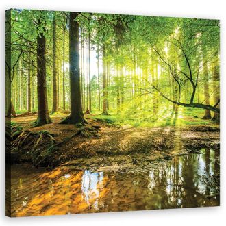 Feeby Leinwandbild XXL Wald B&auml;ume Natur Strom 80x80 cm Wandbild Kunst Sonnenstrahlen Licht Wurzeln Gr&uuml;n