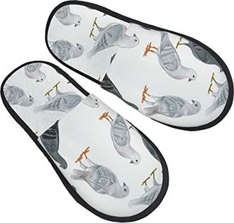 Generic Pantoufle Maison Oiseau Gris Colombes Art Hiver Chaussures Chaudes Antid&eacute;rapantes Chaussons Maison Confortable Chaudes Pantoufles Pour Chambre Maison 