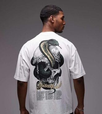 AllSaints T-Shirt in Kreidewei&szlig; mit Schlangen-Totenkopf-Grafik