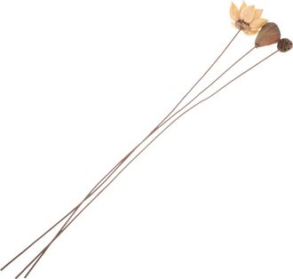 Angoily Getrocknete Lotusblumen Dekoration Trockenblumen Mit Stielen Chinesischer Stil Zen Wohnraumdeko Hochzeit Tischarrangement