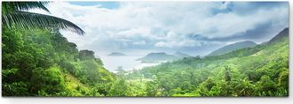 Paul Sinus Art Leinwandbilder | Bilder Leinwand 120x40cm Regenwald der Seychellen