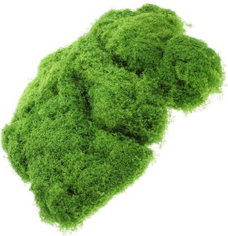 Angoily K&uuml;nstliche Moos Dekoration f&uuml;r Bastelarbeiten Pflanzenmoos f&uuml;r Topfpflanzen im Innenbereich Moosdekor f&uuml;r Wanddekoration Hochzeitsdekoration Einzugsge