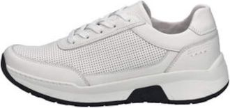 Josef Seibel Sneaker Mitchell 09