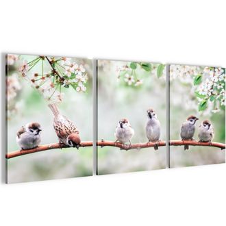 Runa Art Bilder Spatzen 3 Teilig Wandbild auf Vlies Leinwand Gr&uuml;n Mehrteilig Modern 050135a