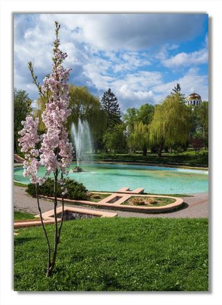 Wallario selbstklebendes Poster - Fr&uuml;hling im Stadtpark, Aufkleber in Premiumqualit&auml;t, Klebefolie Gr&ouml;&szlig;e: 70 x 100 cm (Riesenposter)