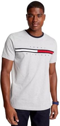 Tommy Hilfiger T-shirt &agrave; col rond pour homme, coupe droite, motif drapeau brod&eacute;, collection 2024, (2024) Gris fum&eacute;, Taille L