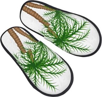 Generic Pantoufles DHiver Palmier Tropical Antid&eacute;rapant Pantoufles DH&ocirc;tel Unisexe Chaussons Pour Invit&eacute; Voyage Chambre M
