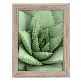 Goldbuch 92 0754 Bilderrahmen Toscana aus Holz, Fotorahmen für Bild im 15x20 cm Format, Portraitrahmen mit Aufsteller & Wandhalterung, Einzelrahmen aus MDF, Fo