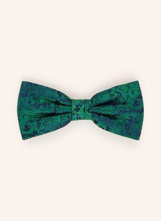 Paul Paul Fliege gruen