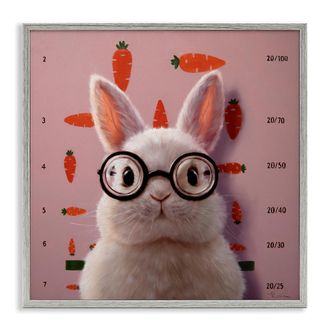 Stupell Industries Bunny & Carrots Eye Exam Giclée-Kunst, gerahmt, Design von Lucia Heffernan, 43 x 43 cm, Weiß