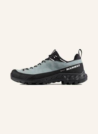 Mammut Mammut Zustiegsschuhe Alnasca Iv Low Lth Gore-Tex blau
