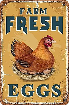 Generic Zinnschild Retro Wandposter Nostalgic Art Blechschild Für Wohnzimmer Küche Bar 20x30 cm Frische Eier Vom Bauernhof
