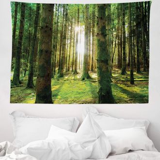 Abakuhaus Wald Wandteppich und Tagesdecke, Sonniger Tag im Wald, aus Weiches Mikrofaser Stoff Wand Dekoration Für Schlafzimmer, 150 x 110 cm, Grün Weiß