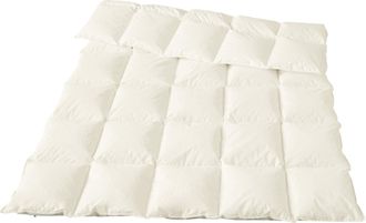 Traumina Bio Einziehdecke Plume 100% Daunen Champagner - mittel W&auml;rmestufe 3 Gr&ouml;&szlig;e 155x220 cm
