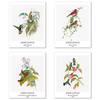 Berkin Arts Kunstdruck Ungerahmt Klassischer Vogel Bilder Set von 4, Poster Gr&ouml;&szlig;e: 28x35 cm Premium Kunstpapier Wanddeko Minimalistisches &auml;sthetisches Realismus n