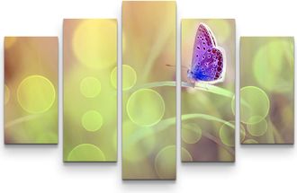 Paul Sinus Art Leinwandbilder | Bilder Leinwand 160x100cm Schmetterling
