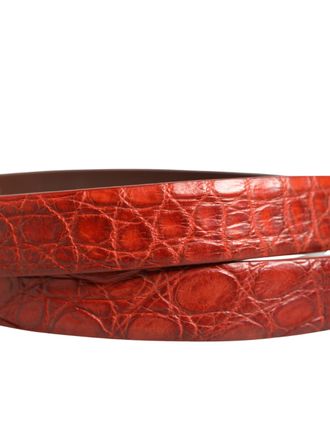 Dolce & Gabbana Red Leather Gold Tone Metal Buckle Men Belt Caiman