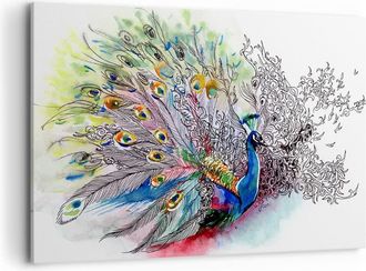 Arttor Wandbilder Dekoration Wohnzimmer Pfau Feder Farbe Bilder auf Leinwand 120x80cm Leinwandbild Schlafzimmer K&uuml;che Deko Wand Kunstdruck Art Gro&szlig; XXL Wandd