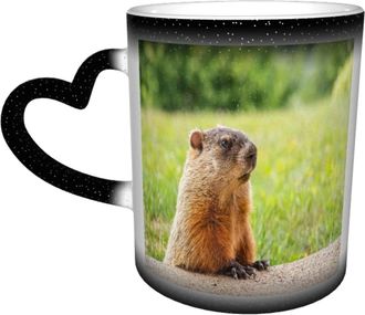 IUBBKI Niedliche Murmeltier-Tasse mit Farbwechsel im Himmel, Keramik, w&auml;rmeempfindliche Tasse, Latte-Becher, w&auml;rmeempfindliches Design f&uuml;r Geschenke, B&uuml;ro, p