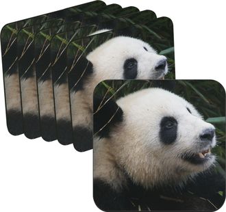 Fabulous Untersetzer aus Kork, für Babys, Panda, Wildleben, Tiere, 6 Stück (95 x 95 mm)