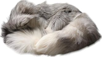 Dolce & Gabbana Femme, Accessoires, Blanc, Taille: ONE Size &Eacute;charpe Ch&acirc;le en Fourrure de Renard