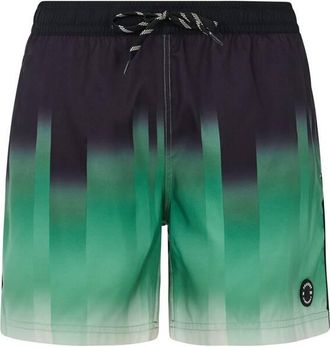 Protest Herren Badeshorts PRTBowery