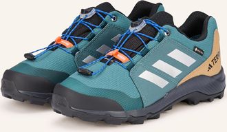 ADIDAS TERREX Adidas Terrex Wanderschuhe Terrex Gore-Tex gruen