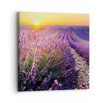 Arttor Bilder auf Leinwand Feld Lavendel Sonne Leinwandbild mit Rahmen 30x30cm Wandbilder Dekoration Wohnzimmer Schlafzimmer K&uuml;che Deko Klein Wanddeko Bild W