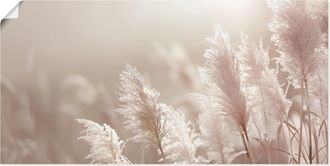 Artland Wanddeko Poster & Kunstdrucke Wandposter 100x50 cm Pflanzen natural elements Gräser Pampasgras Boho Deko U5GQ