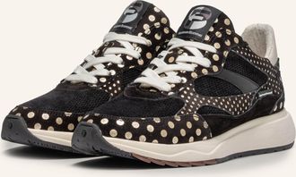 Floris Van Bommel Floris Van Bommel Sneaker Suvi 05 schwarz