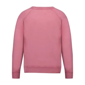 Isabel Marant Sweatshirt - Pink