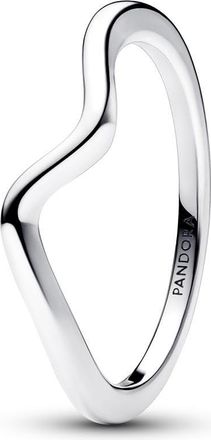 Pandora Sterling silver 193095C00-48