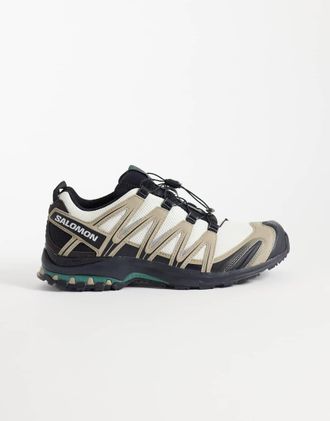 Salomon XA PRO 3D - Baskets - Sauge argent&eacute; et vert bistro