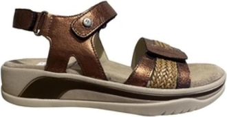 Wolky Femme, Chaussures, Brun, Taille: 41 EU Sandales