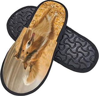 Generic Slippers Chien Colley À Poil Long Portative Chaussons Épais Chaussons Maison Pour La Maison Voyage Automne L
