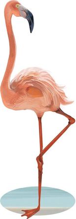 1art1 Flamingos EIN Sch&ouml;ner Flamingo Wand-Tattoo | Deko Wandaufkleber f&uuml;r Wohnzimmer Kinderzimmer K&uuml;che Bad Flur | Wandsticker f&uuml;r T&uuml;r Wand M&ouml;bel/Schrank 13