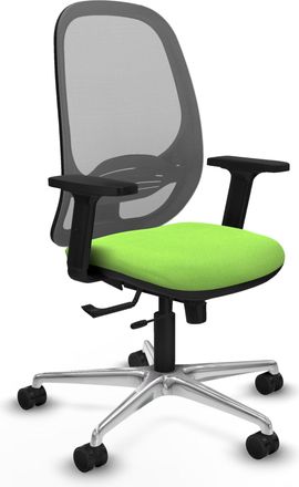 Piqueras y Crespo Cilanco Computerstuhl mit 2D-Armen, h&ouml;henverstellbare Lendenwirbelst&uuml;tze, ausgestattet mit Syncro/Traslack und Schneideschaum, Grau/Pistazie