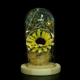 Valiclud Sonnenblume im Glas mit LED Batteriebasis Konserviertes Retro Schreibtisch Dekor Verschlei&szlig;festes Naturblumen Ornament f&uuml;r Wohn und B&uuml;rodekoration