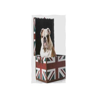 Mnsruu Handtuch/Sporthandtuch, Motiv: Englische Bulldogge, 76 x 38 cm