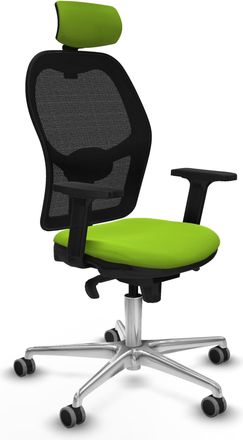 Piqueras y Crespo Gepolsterter Schreibtischstuhl mit 2D-Armen, h&ouml;henverstellbare Lendenwirbelst&uuml;tze und h&ouml;henverstellbares Kopfteil, Schwarz / Pistazie
